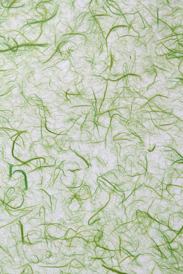 Banana paper stock photo. Image of pattern, natural, paper - 62878318