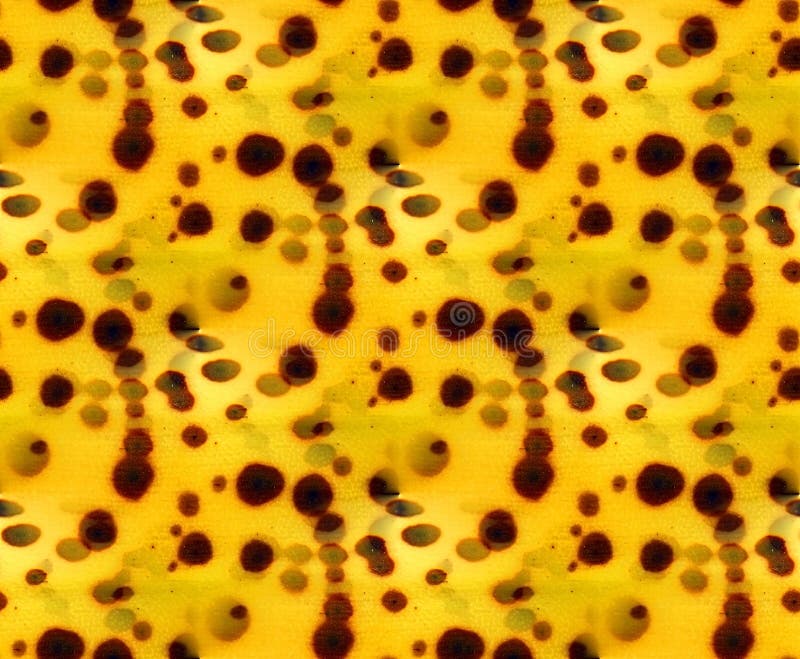 Banana Peel Pattern stock image. Image of enlarged, sweet - 14693085