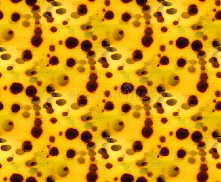 Banana Peel Pattern stock image. Image of enlarged, sweet - 14693085