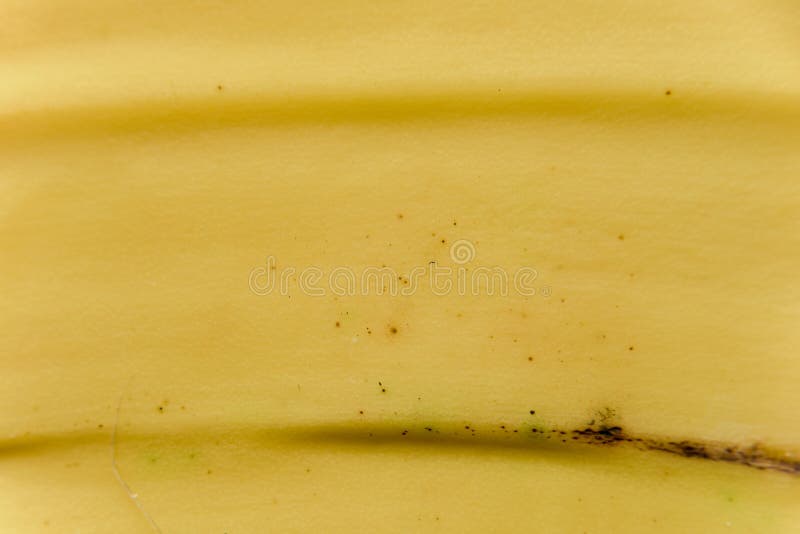 Banana peel texture stock image. Image of meal, dark - 14120837