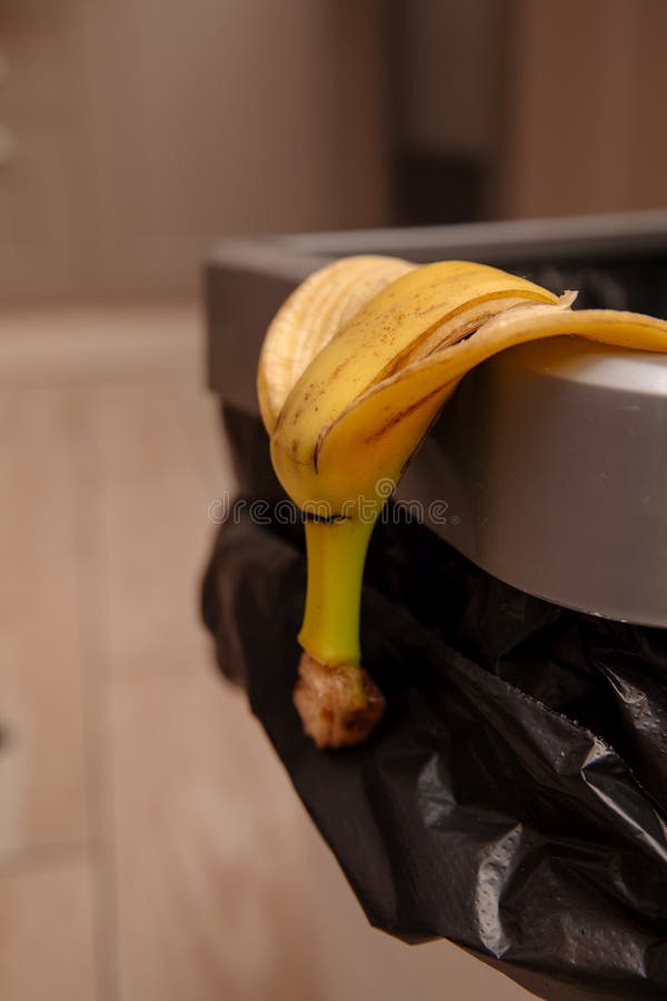 Banana peel in a trash bin stock image. Image of practices - 293076289