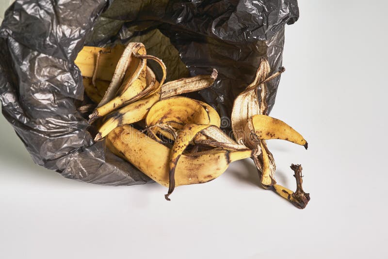 Banana peels in trash can stock image. Image of banana - 234507155