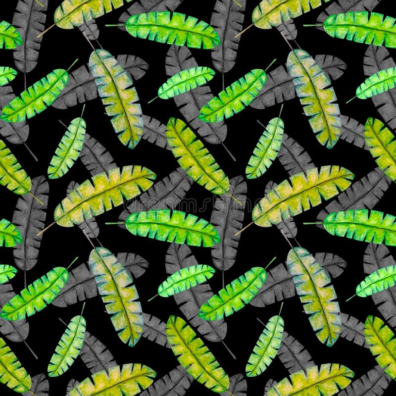 Banana Plant Leaves Seamless Tropical Pattern Stock Illustration ...