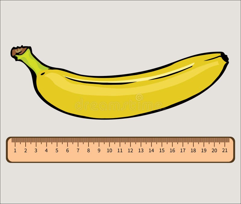 Banana and Ruler on Gray Background Stock Image - Image of matters ...