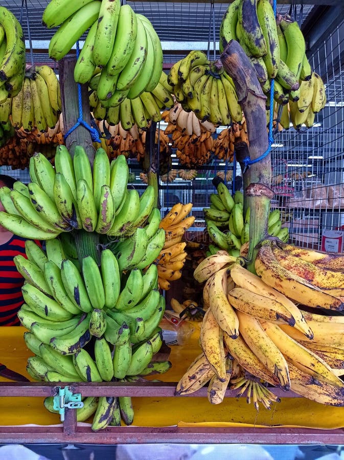 Banana Seller at the Market Stock Image - Image of happy, natural ...