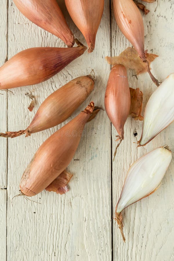Echalion shallots stock image. Image of echalion, vegetable - 105467867