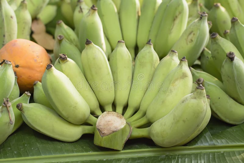 Banana shell stock photo. Image of shell, fallen, luck - 995384