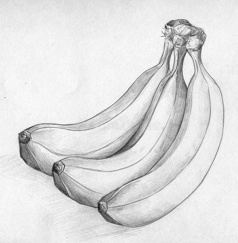 Banana Sketch Banana | Andy Warhol – Studio93
