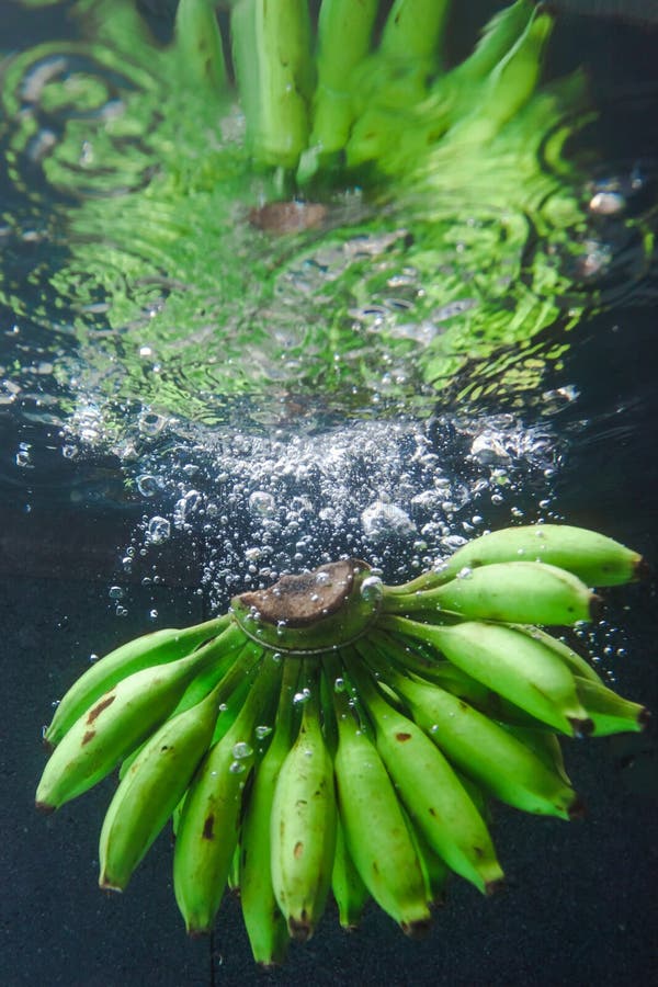 Banana splash stock image. Image of creative, fresh, motion - 24661891