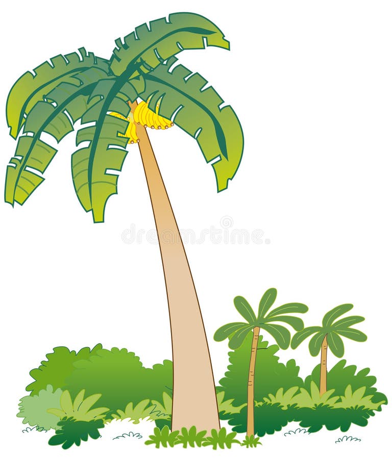 Banana Tree Stock Illustrations – 34,549 Banana Tree Stock ...