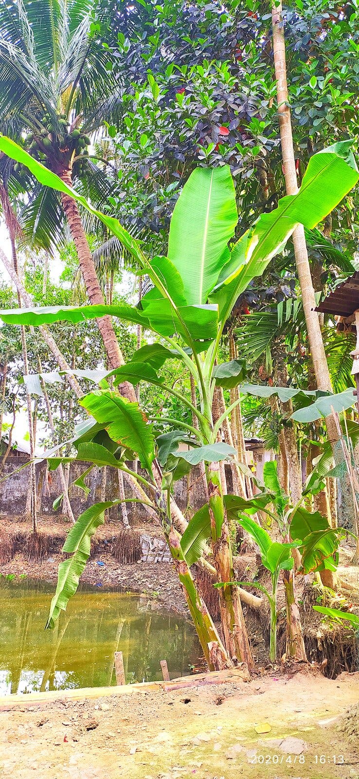 Brsi Logo Stock Photos - Free & Royalty-Free Stock Photos from Dreamstime