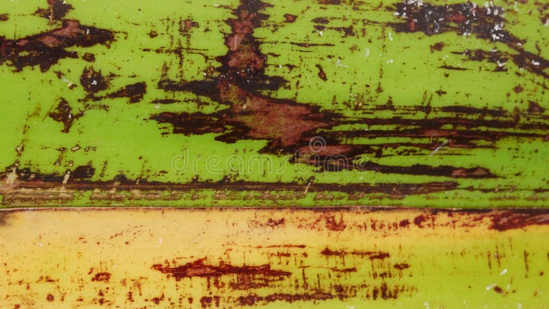 Banana Tree Texture. Green Nature Background Stock Photo - Image of ...