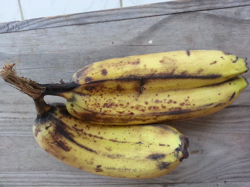Banana twins stock image. Image of nature, twins, banana - 49461137