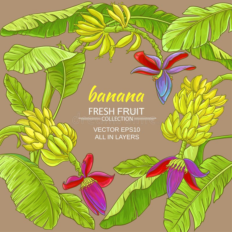 Banana vector frame stock vector. Illustration of background - 113561432