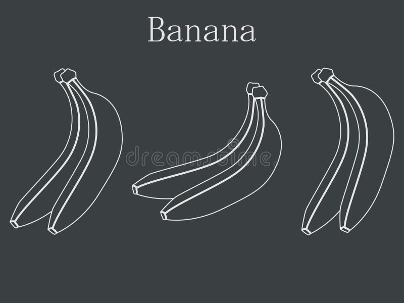 Banana vector. Line icon stock vector. Illustration of banana - 79788152
