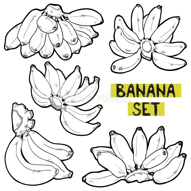Colorless Banana Illustration Stock Illustration - Illustration of ...
