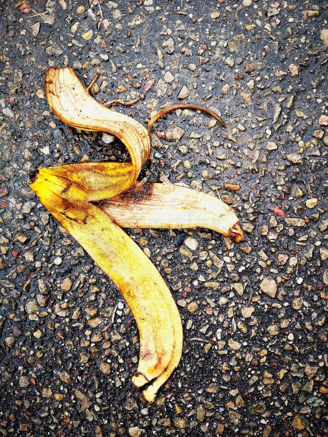 Banana Waste in Nature on a Branch. Food Waste and Environmental ...