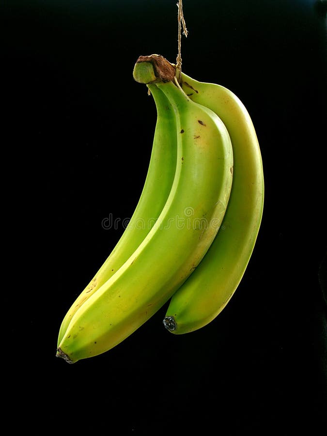 Bananas stock image. Image of skin, curved, string, green - 1098087
