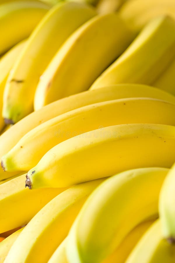 Lots of Bunches of Bananas. Stock Image - Image of skin, natural: 2748359