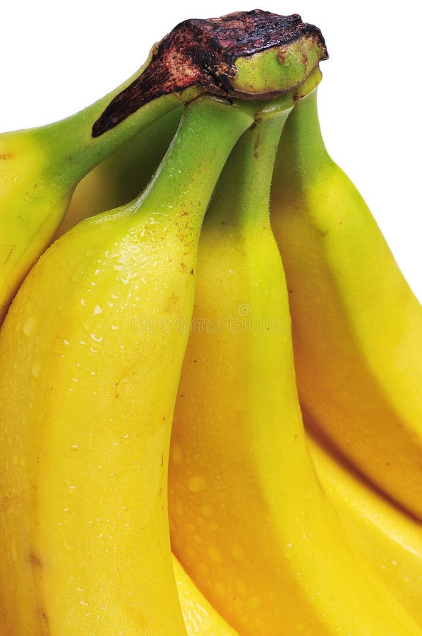 Ripe cardava banana stock image. Image of nature, freshness - 23053863