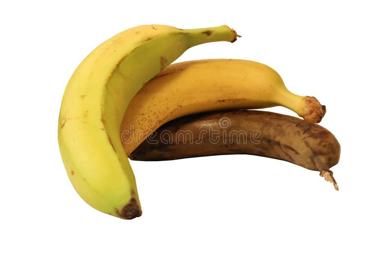 Bananas aging - isolated stock photo. Image of food, mature - 48195338