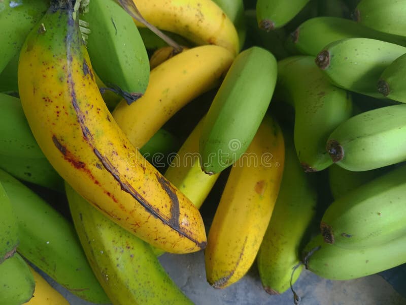 Bananas in Boxes Green and Ripe Yellow Bananas Stock Photo - Image of ...