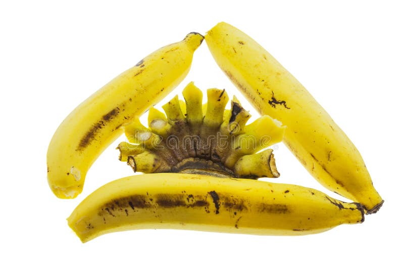 Bananas Triangle Stock Photos - Free & Royalty-Free Stock Photos from ...