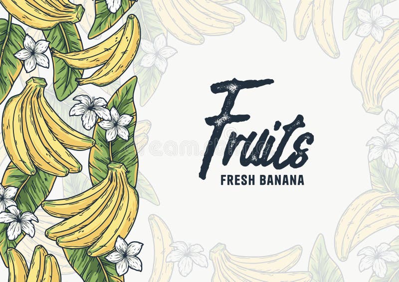 Bananas Frame Illustration - Tropical Theme Stock Illustration ...