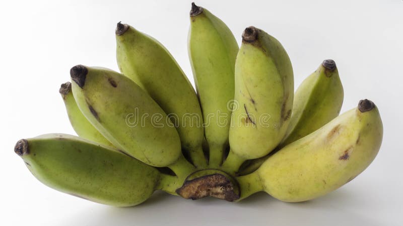 Bananas stock photo. Image of fruit, native, bananas - 45285324