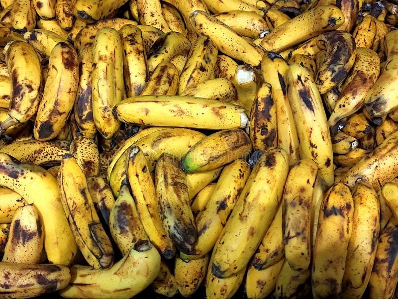 Bananas Fully Ripe for Sale Stock Image - Image of full, growth: 330966969