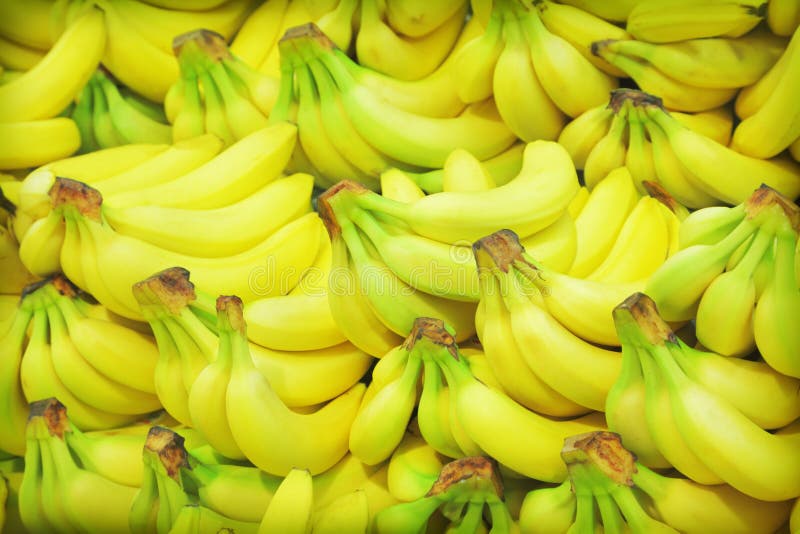 Many Bananas stock image. Image of mature, grocer, market - 17529197