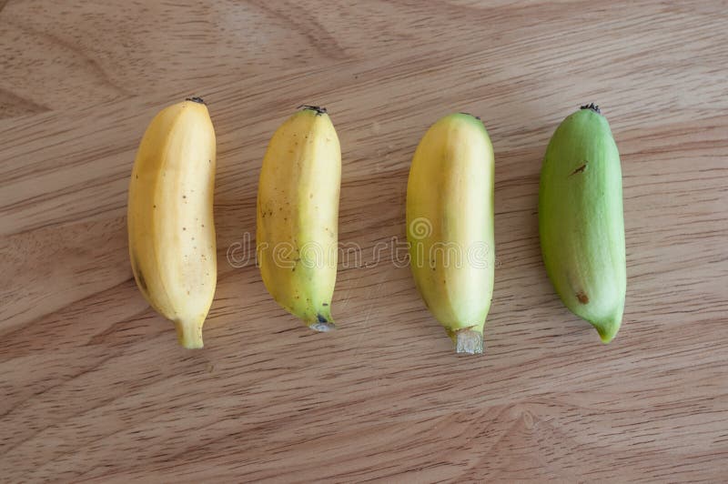 Bananas stock image. Image of agriculture, health, snack - 77433191