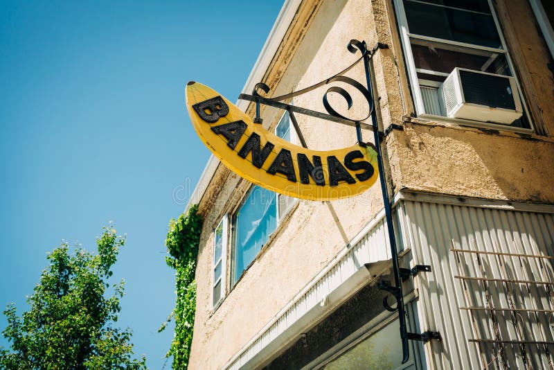Bananas Vintage Sign, Gloucester, Massachusetts Editorial Photography ...