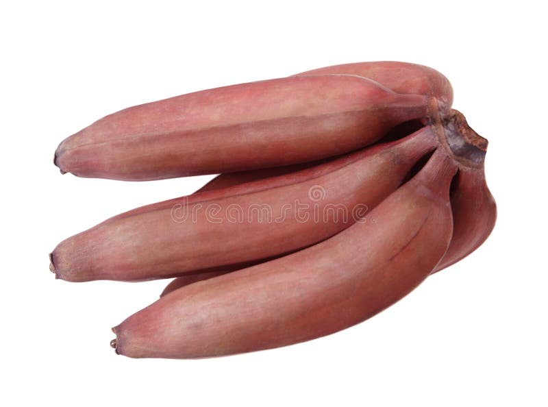 Banane rosse fotografia stock. Immagine di gruppo, tropicale - 18212012
