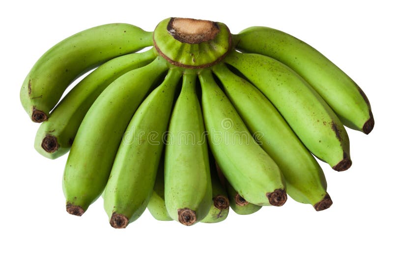 Banane verte photo stock. Image du nature, jardin, groupe - 15918862