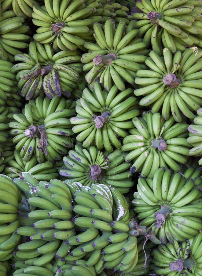 Bananer arkivfoto. Bild av lagring, banta, madagascar - 18183074