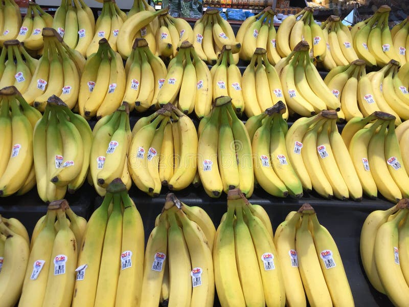 Bananer fotografering för bildbyråer. Bild av färgrikt - 25444529