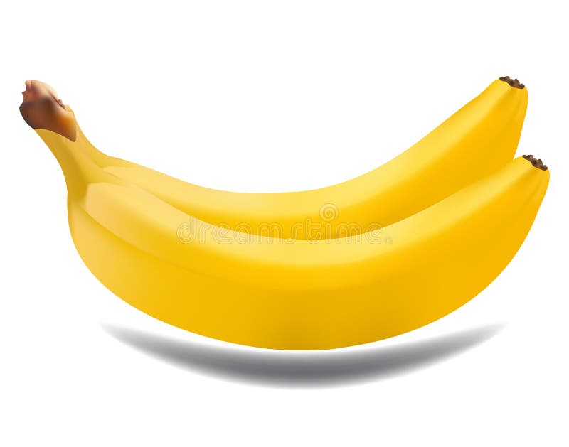 Bananes illustration de vecteur. Illustration du deux - 58951012