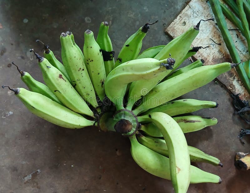 Banano Verde Banana Vegetal Fruta Vegetal Saludable Foto de archivo ...
