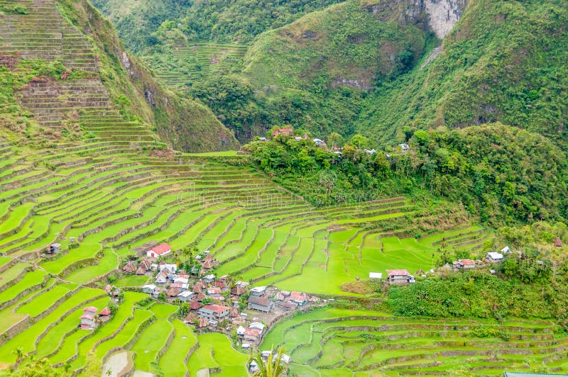 Batad Rice Terraces Village Stock Image - Image of rice, valleys: 2513807