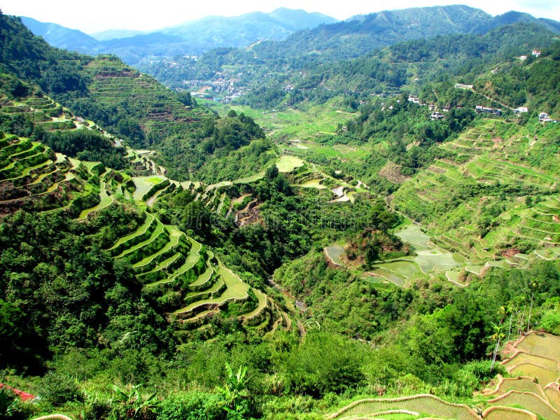 Banaue Rice Terraces stock image. Image of rice, mountains - 2513227