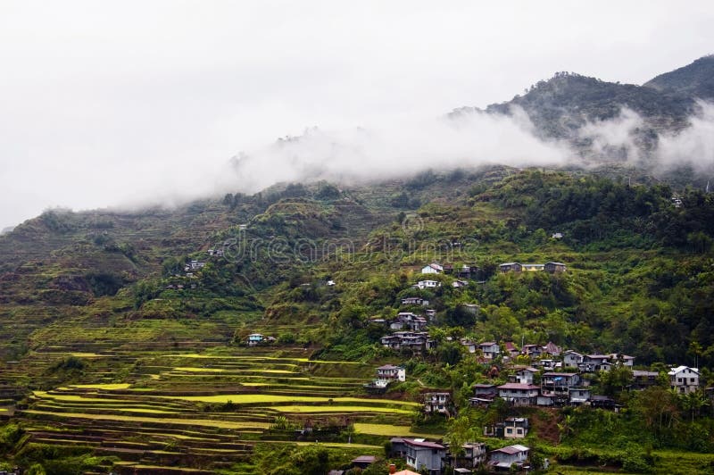 Banaue Rice Terraces Picture. Image: 5670581