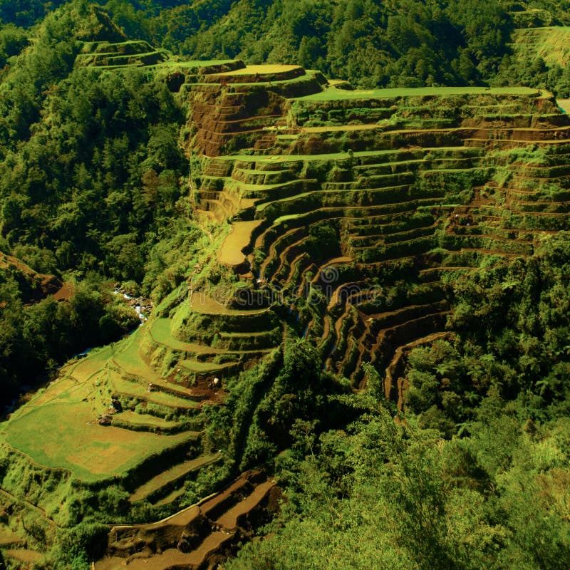 Banaue rice terraces stock photo. Image of highland - 223141440