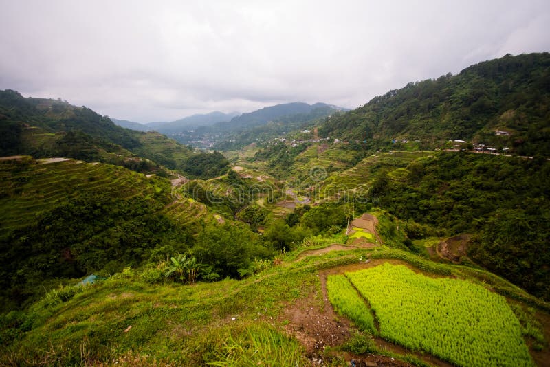 Banaue Rice Terraces, Philippines Stock Image - Image of curve, ecology ...