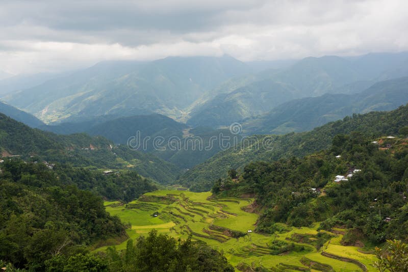 Banaue Rice Terraces, Philippines. Stock Image - Image of irrigation ...