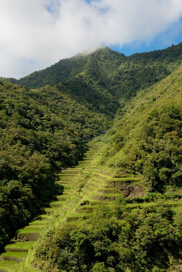 Banaue Rice Terraces, Philippines. Editorial Stock Image - Image of ...