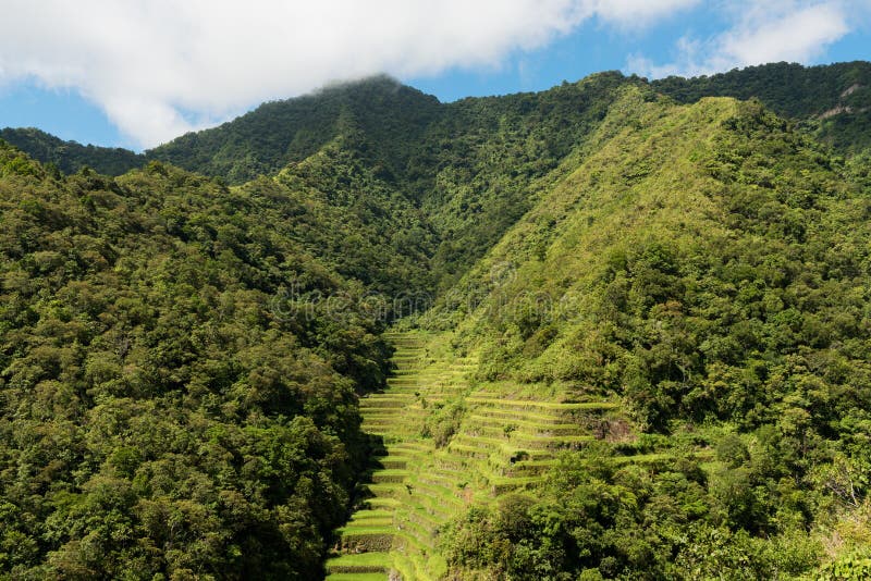 Banaue Rice Terraces, Philippines. Stock Image - Image of culture ...