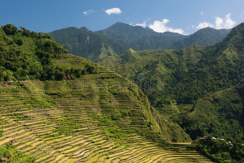 Banaue Rice Terraces, Philippines. Stock Image - Image of landmark ...