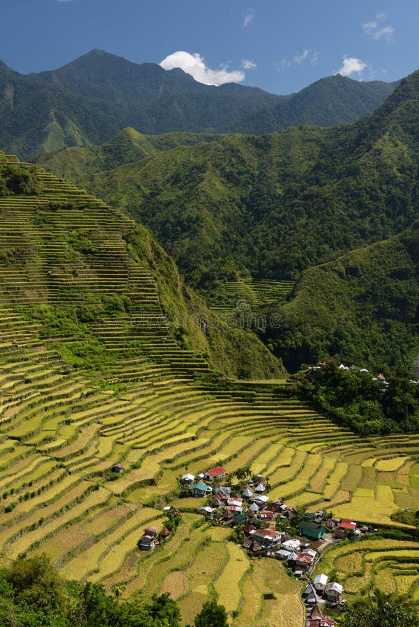 Banaue Rice Terraces, Philippines. Stock Image - Image of asian ...