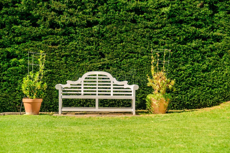 Fond Vert De Buisson De Pin Photo stock - Image du copie, barrière ...